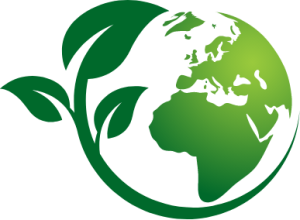 Management - Shipmaster Containers Ltd